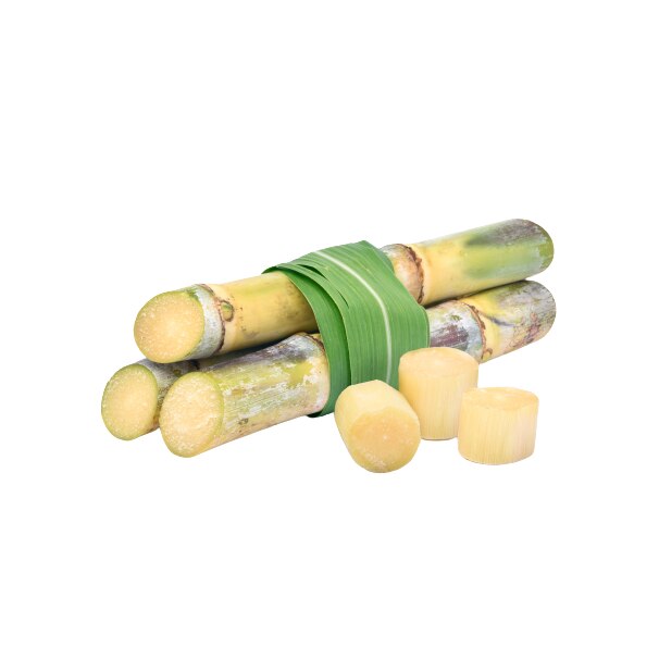 Zahar alb set 500 stick, Natural Seeds Product, 2.5Kg - eMAG.ro