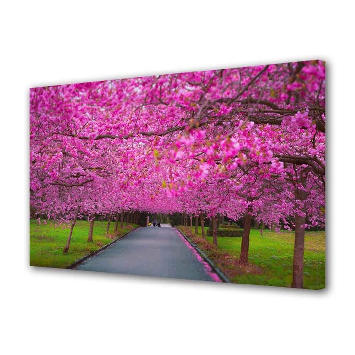 Cauți cires japonez? Alege din oferta eMAG.ro