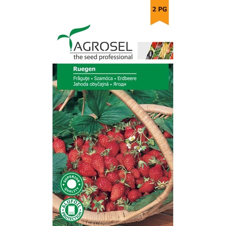 Fragute Ruegen seminte microambalate, set 3 plicuri - eMAG.ro