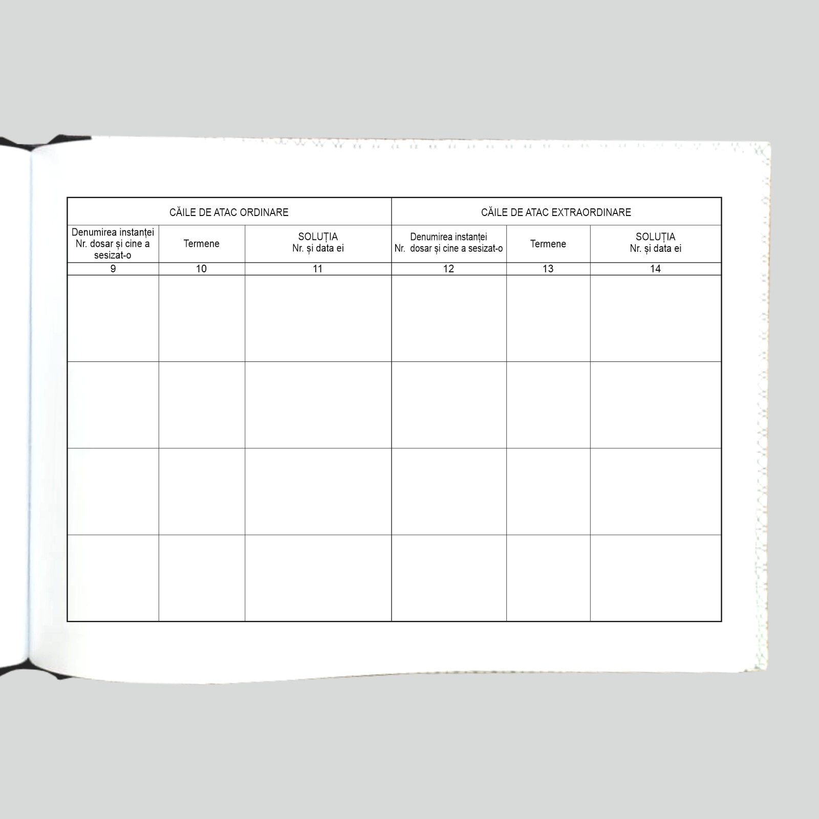 Registru de Evidenta Dosare Civile si Contencios A4, personalizat, 100 ...