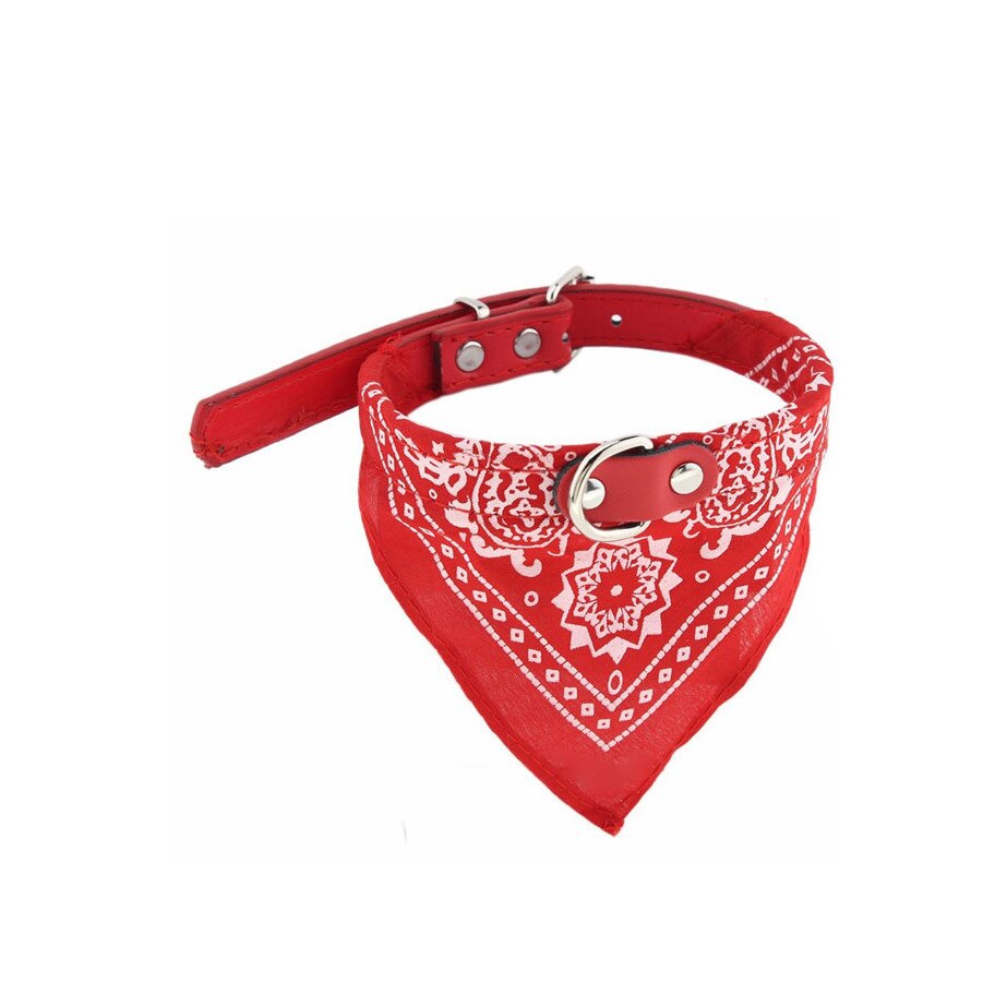 Zgarda cu bandana The Coolest, pentru caini de talie medie/mare ...