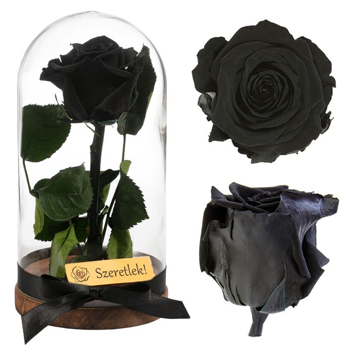Fekete örök rózsa üvegbúrában - örökrózsa - eMAG.hu