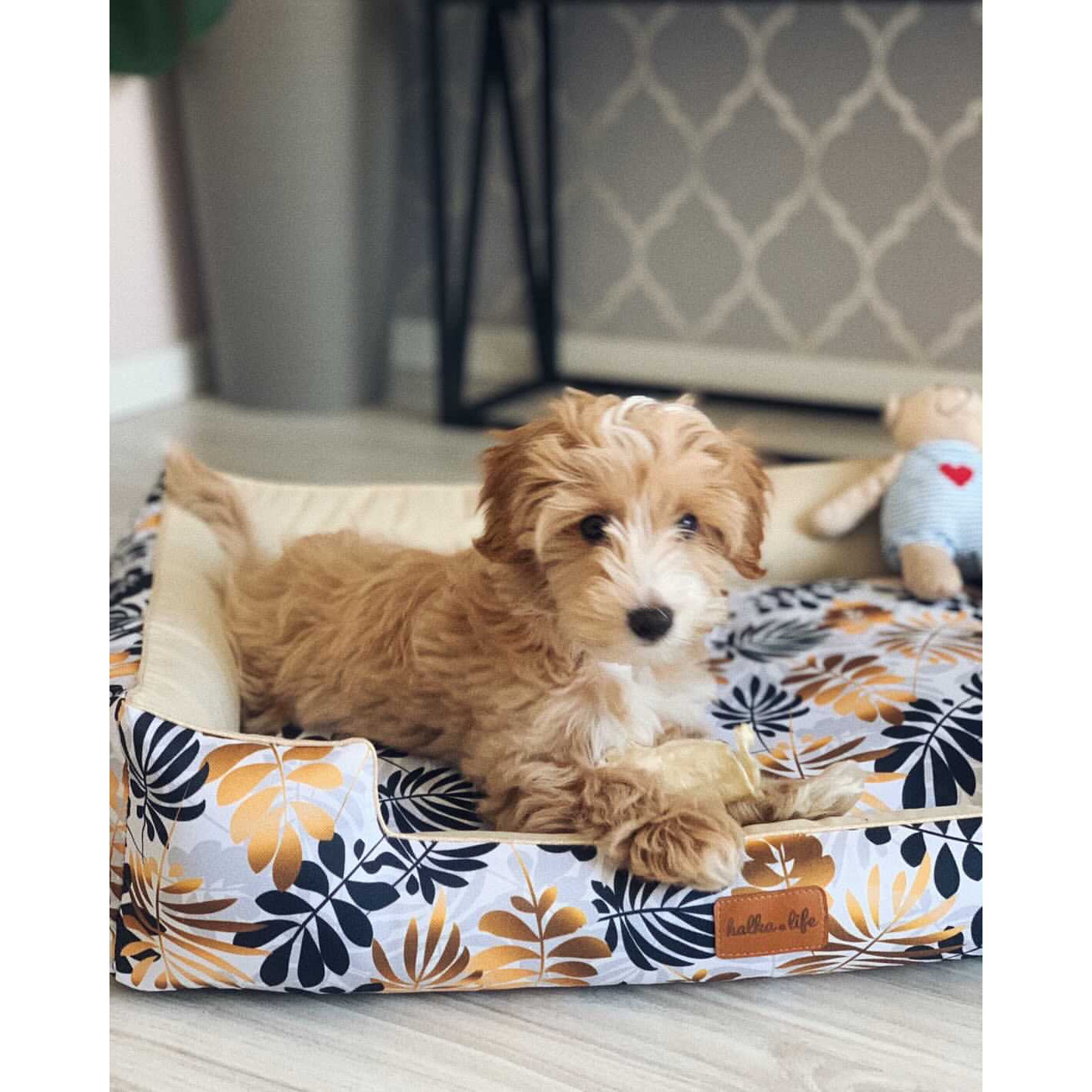 Culcus pentru caini si pisici Halkalife, Boo, Model cu frunze, 45x65cm ...