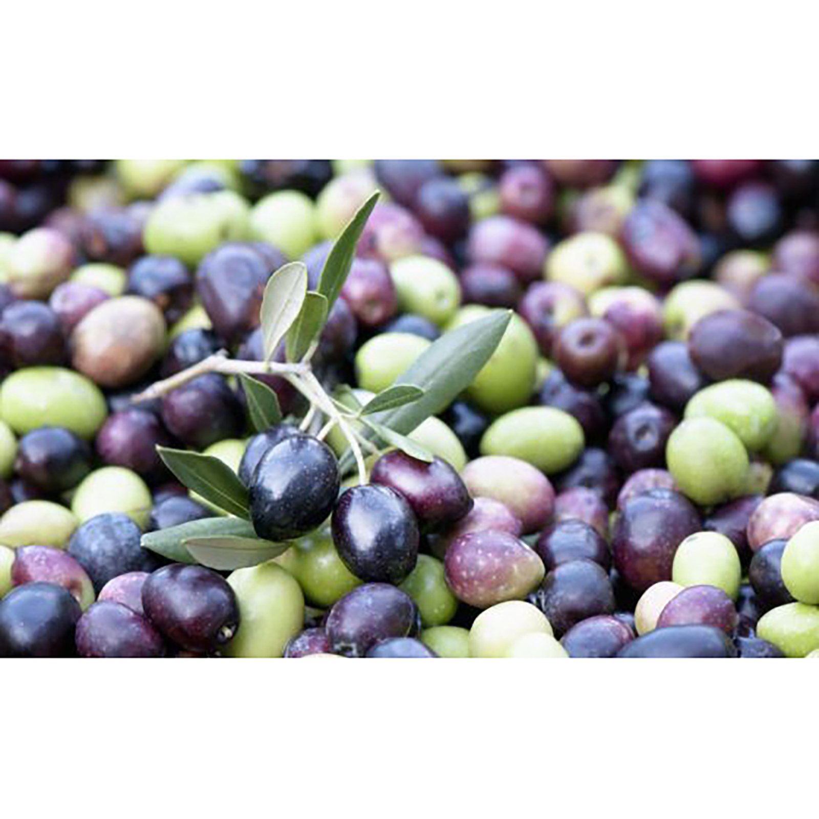 Masline negre Kalamon, Yunus, calibru 280-320, Yunus, 700 g - eMAG.ro