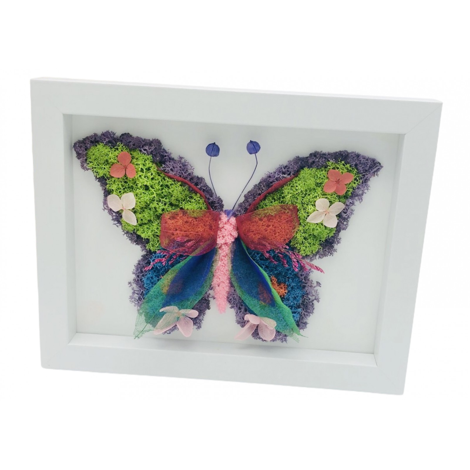 Aranjament floral, Fluture, Rama / Tablou cu licheni, frunze fosilizate ...