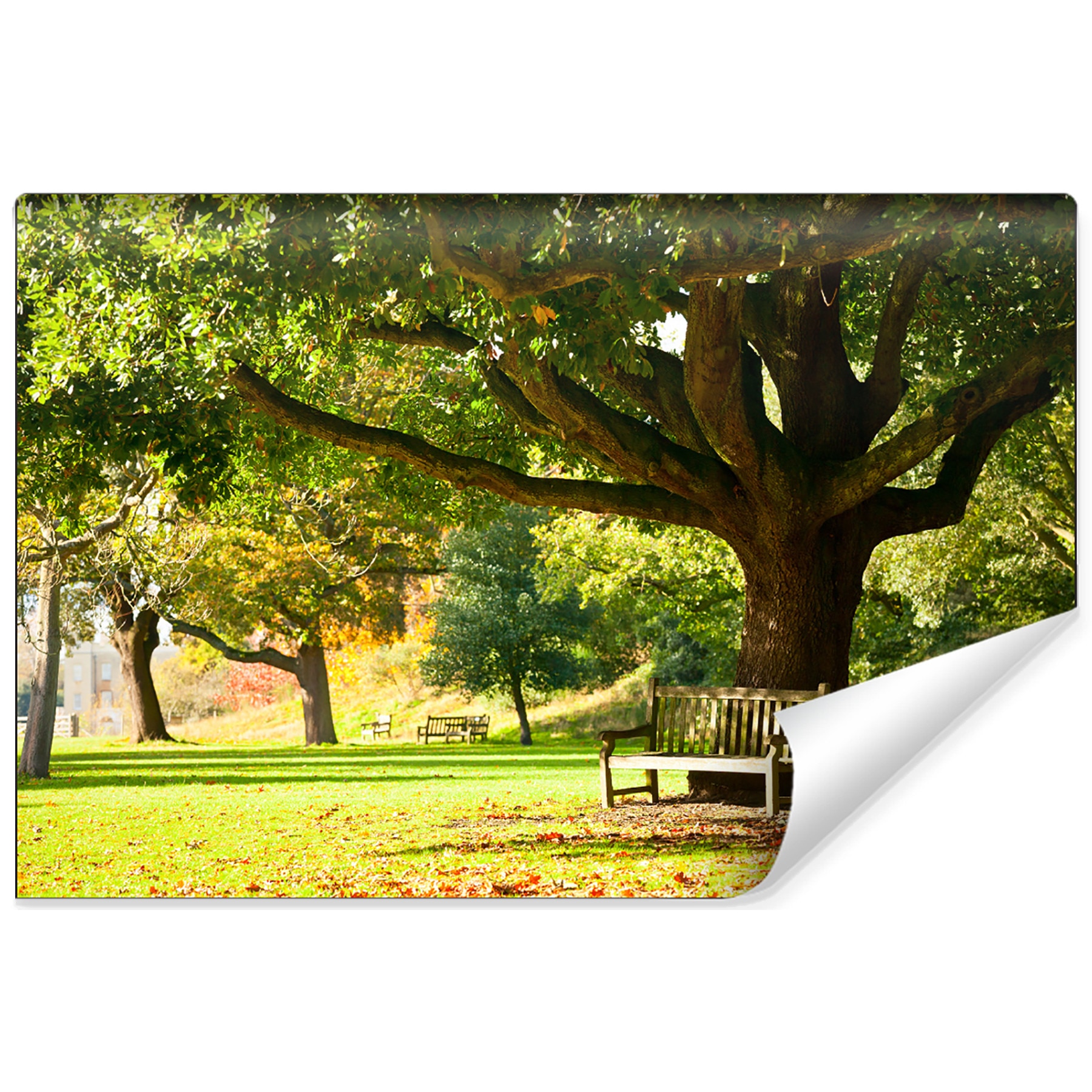 Fototapet Gradina Botanica Regala din Londra 90cm x 60cm Peisaj de ...