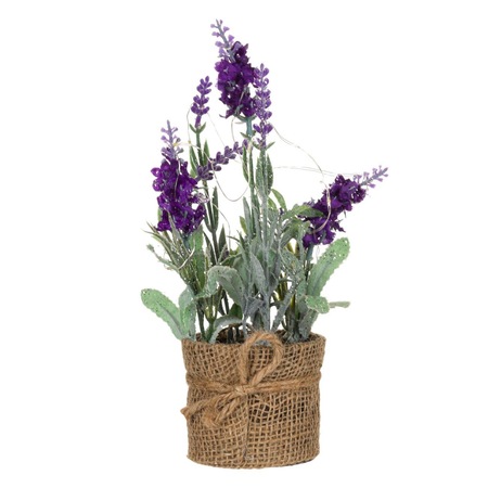 Ghiveci cu lavanda decorativa si LED, 8 x 25 cm - eMAG.ro