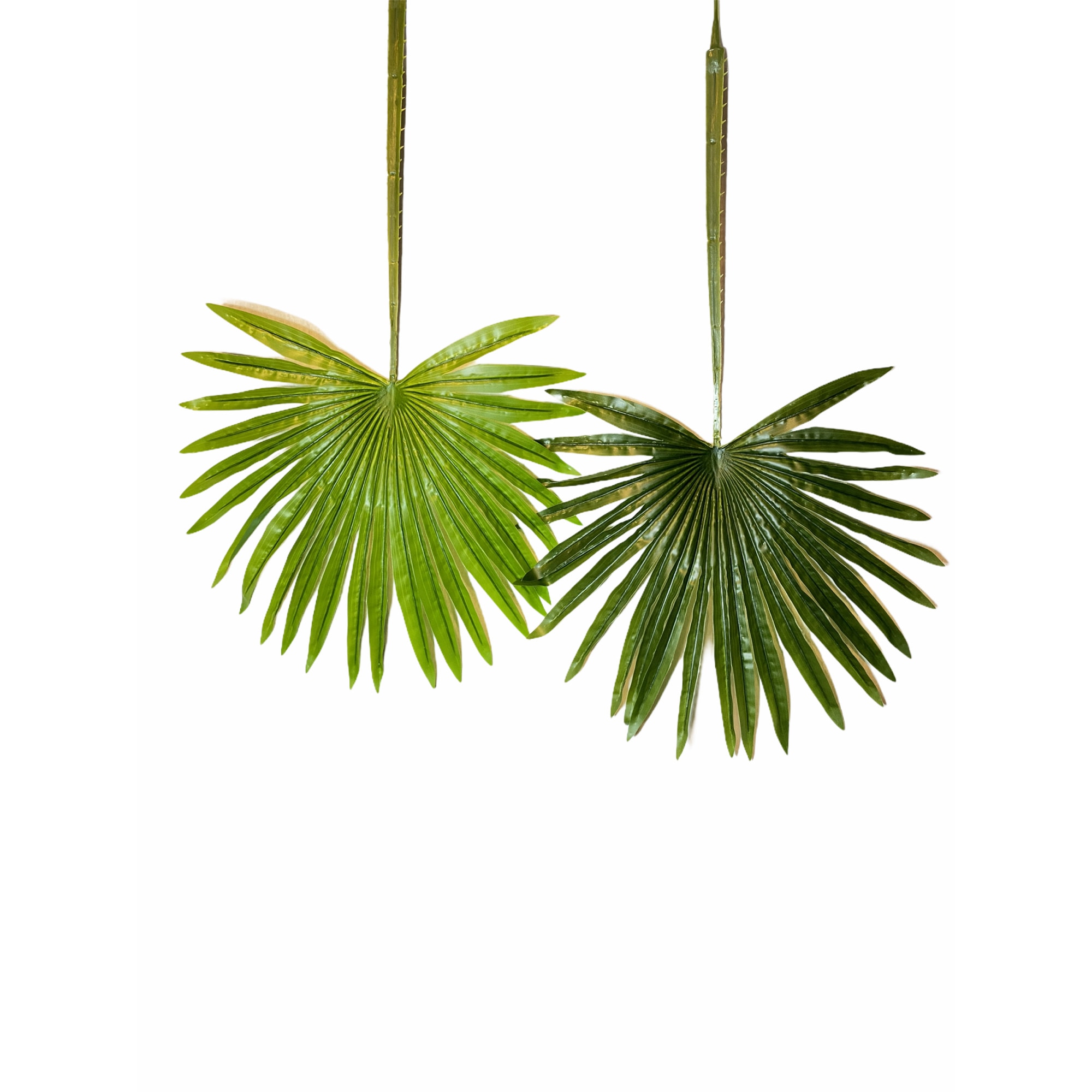 Set 2 frunze palmier artificiale, decor, Atelier, Verde, 68x36cm - eMAG.ro