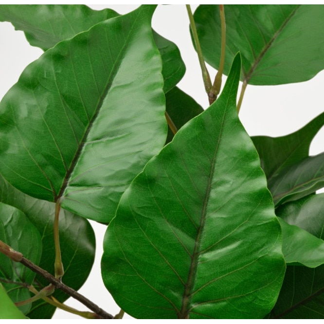 Planta artificiala in ghiveci, ficus cu frunze verzi, pentru design ...