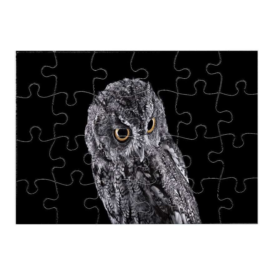 Fekete fehér bagoly 1911 puzzle 24 darabos - eMAG.hu