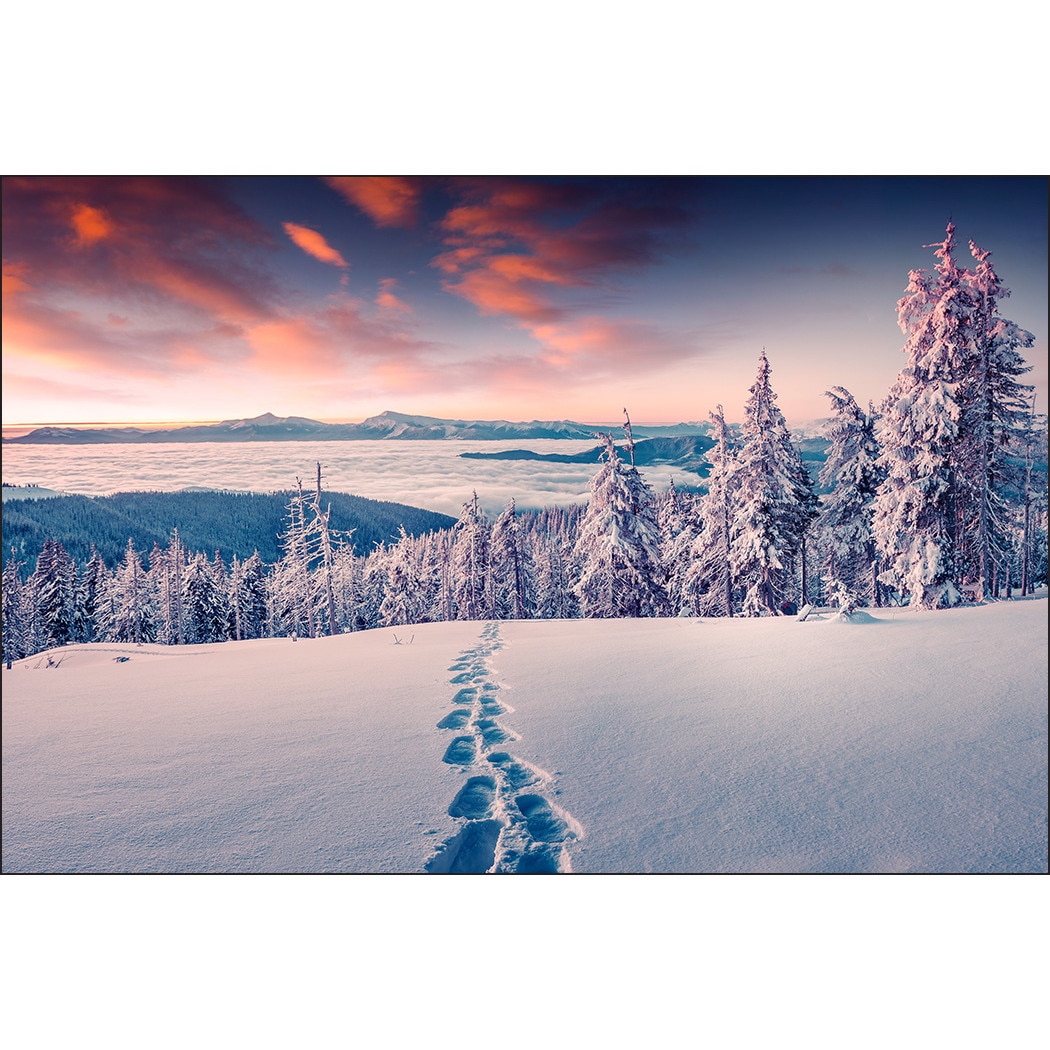 Fototapet Iarna in Munti Peisaj 3D 315cm x 210cm Zapada, Vedere, Copaci ...