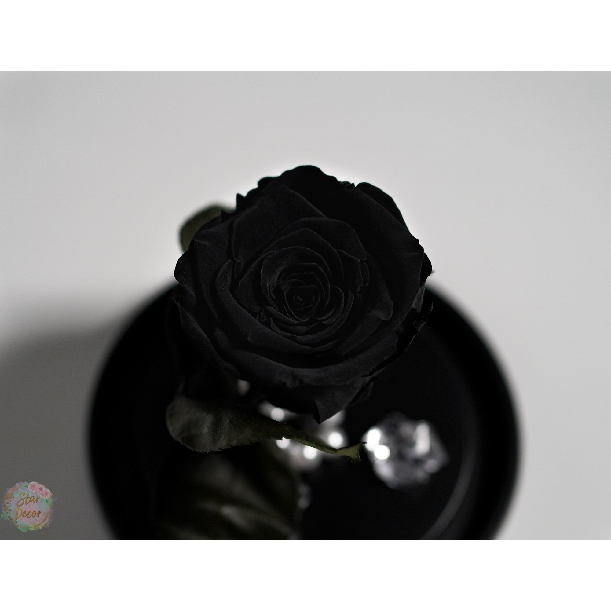 Trandafir criogenat in cupola de sticla cu bumb pe blat negru si brosa ...