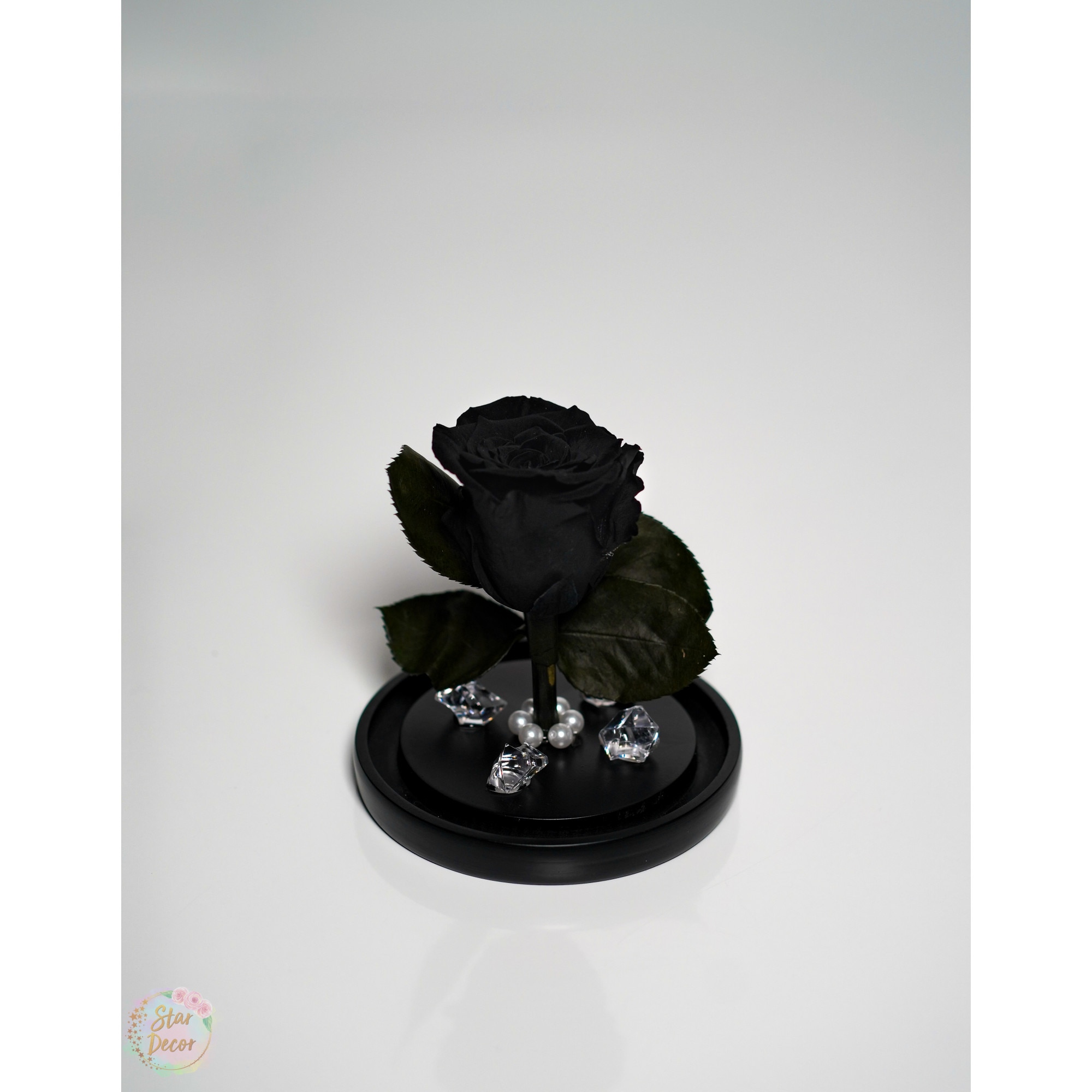 Trandafir criogenat in cupola de sticla cu bumb pe blat negru si brosa ...