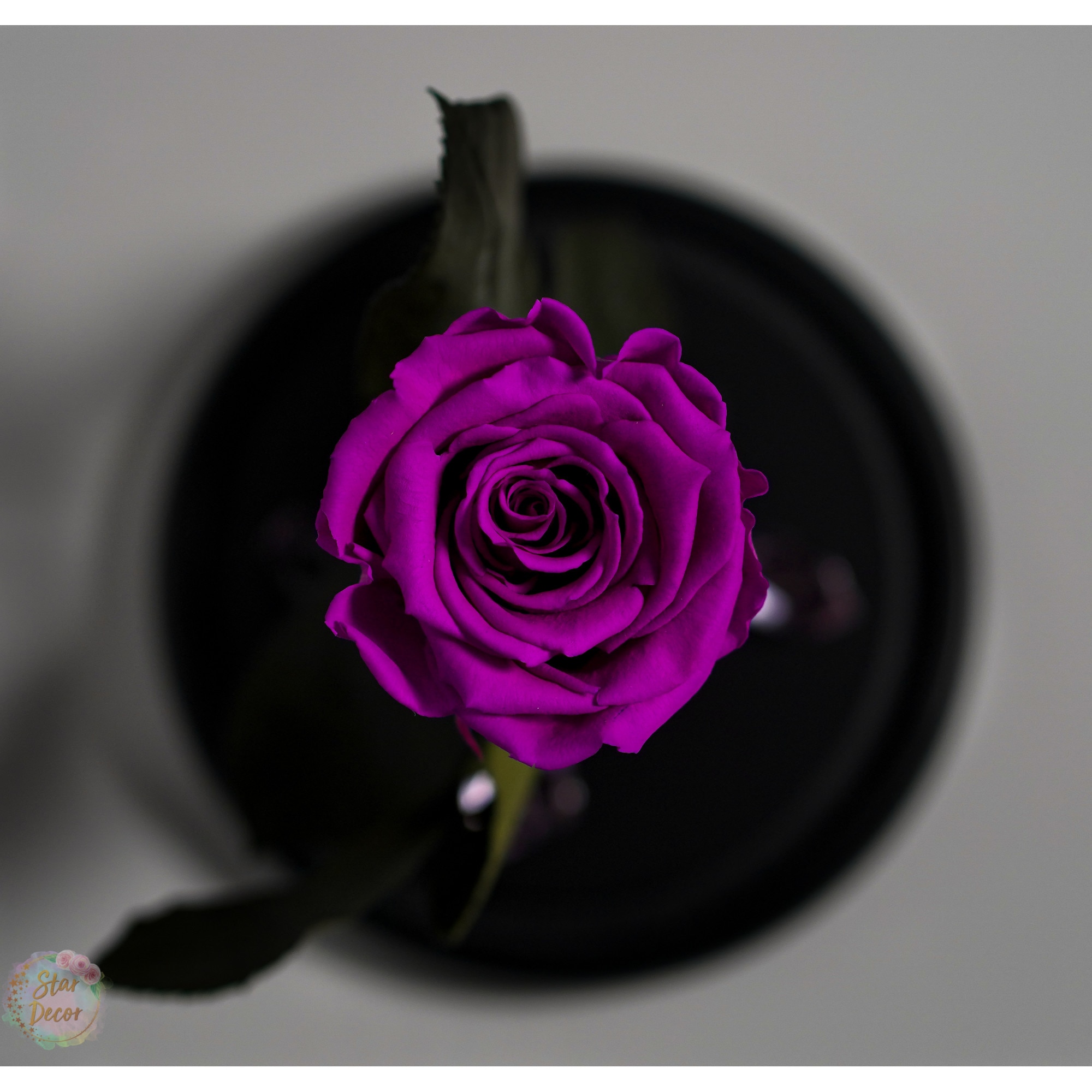 Trandafir criogenat in cupola de sticla 25 cm pe blat negru si brosa ...