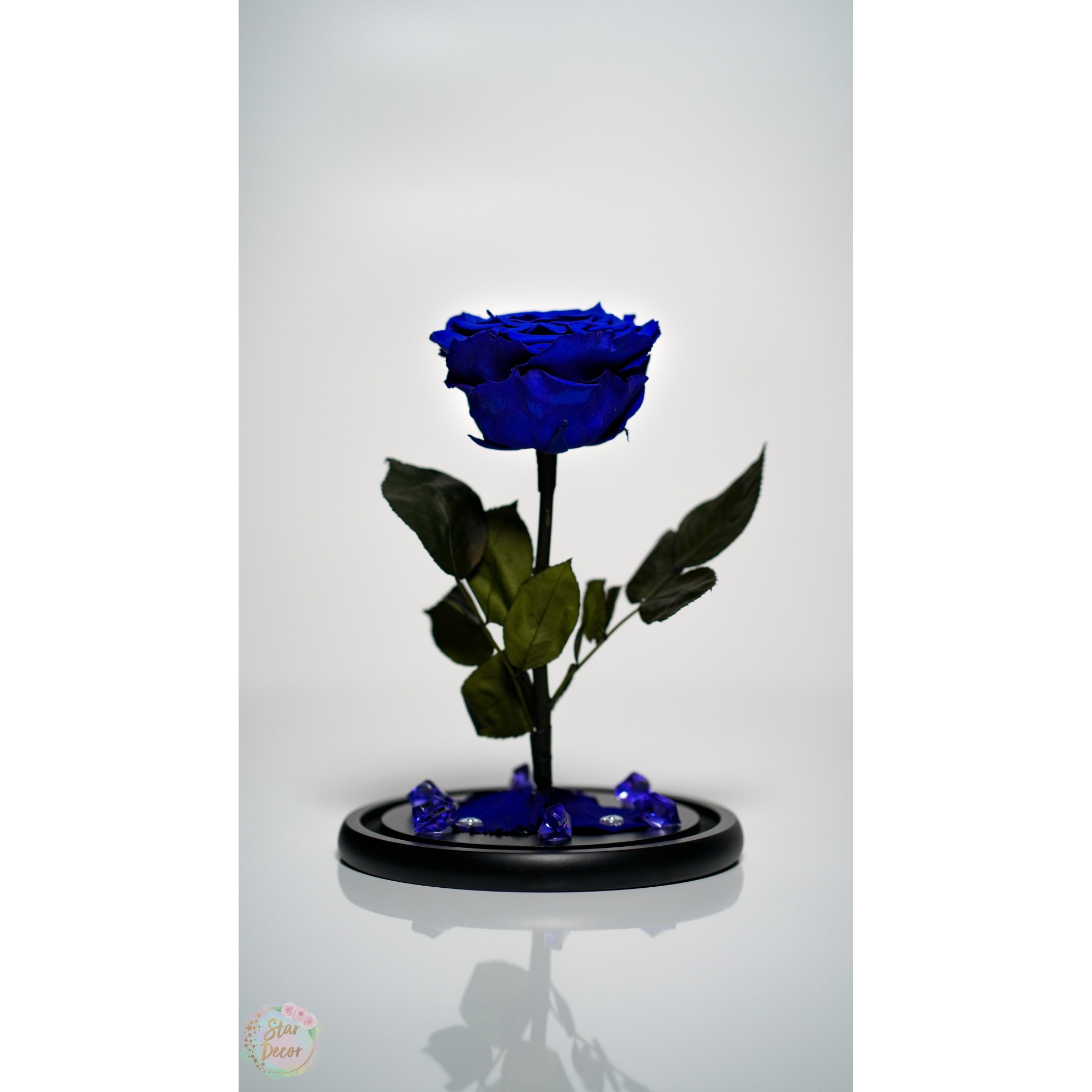 Trandafir criogenat XXL in cupola de sticla 30 cm pe blat negru si ...
