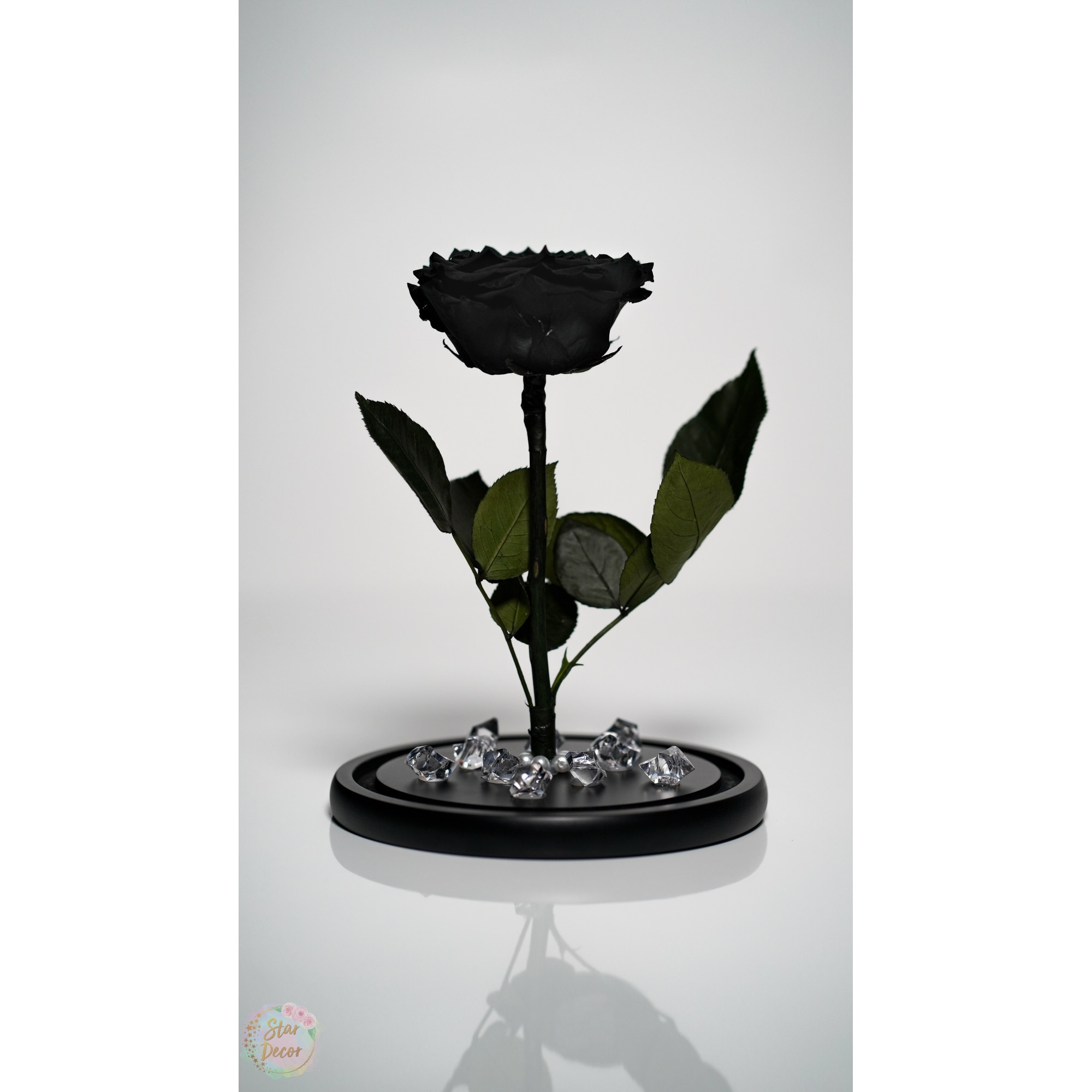 Trandafir criogenat XXL in cupola de sticla 30 cm pe blat negru si ...