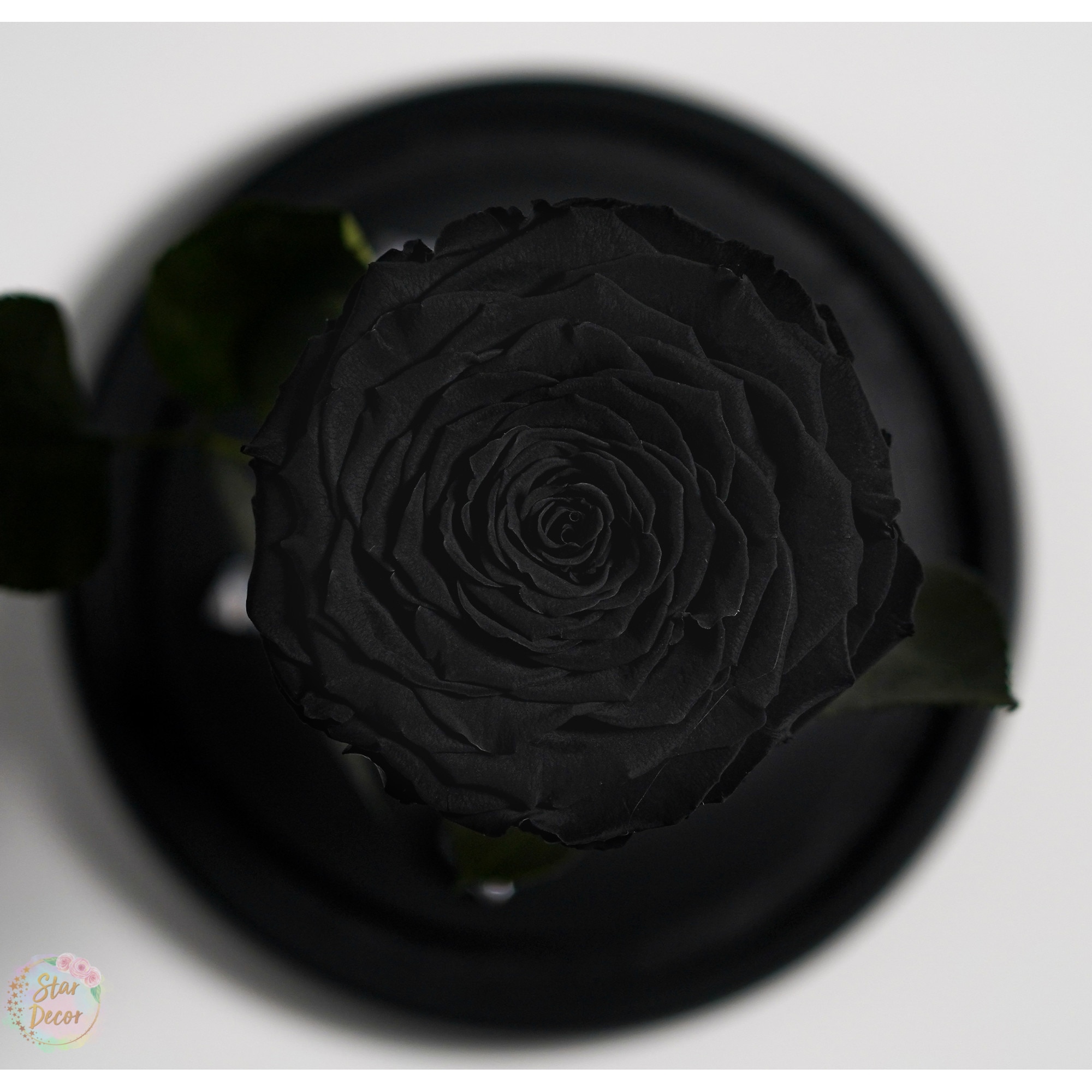 Trandafir criogenat XXL in cupola de sticla 30 cm pe blat negru si ...