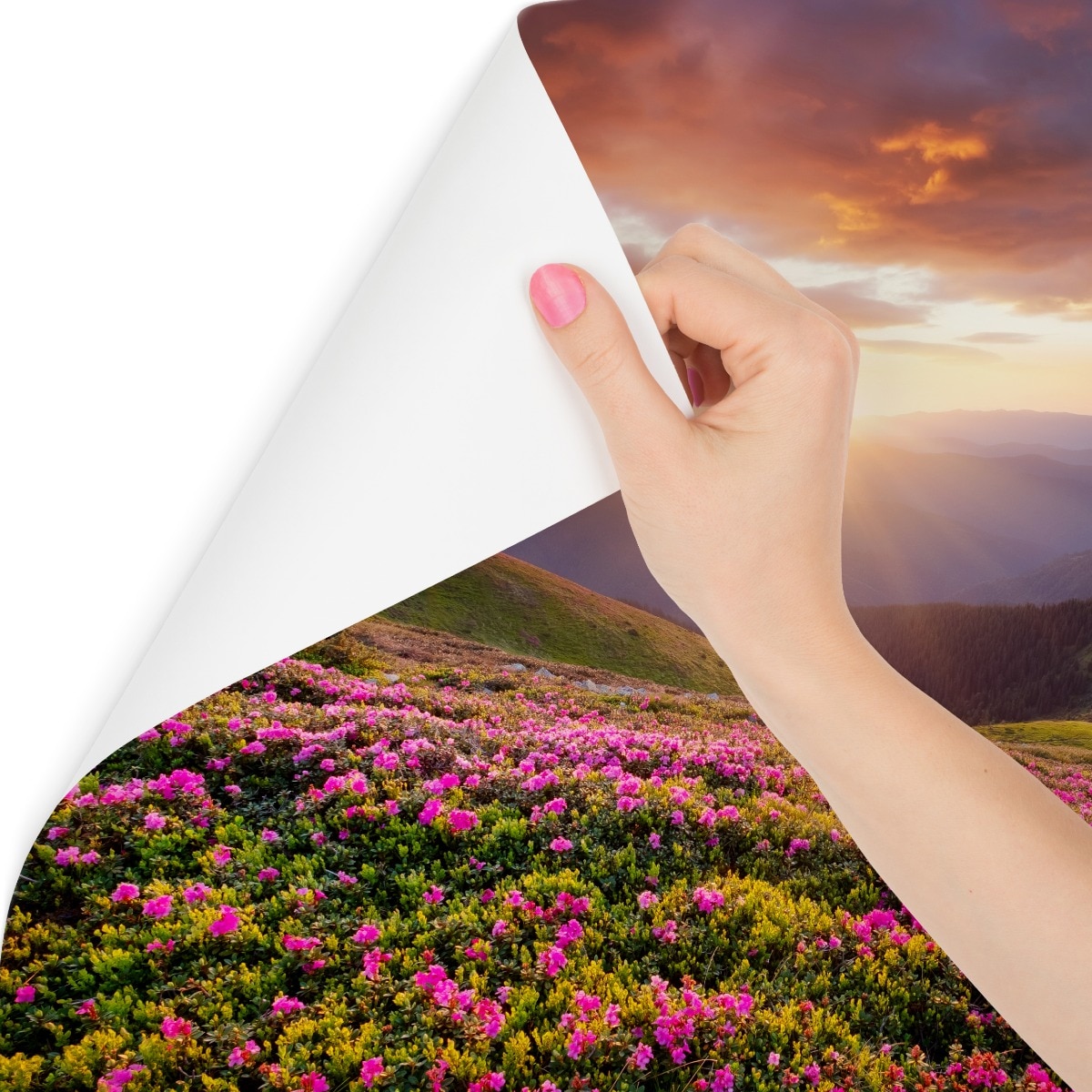 Fototapet APUS DE SOARE in munti vedere 3D 180cm x 120cm Soare, Flori ...