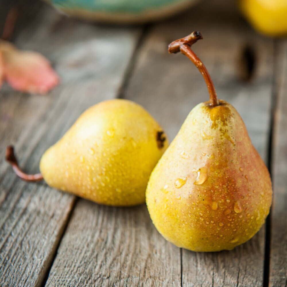 Par Decana del Comizio ghiveci 9L inaltime 150-170 cm - eMAG.ro