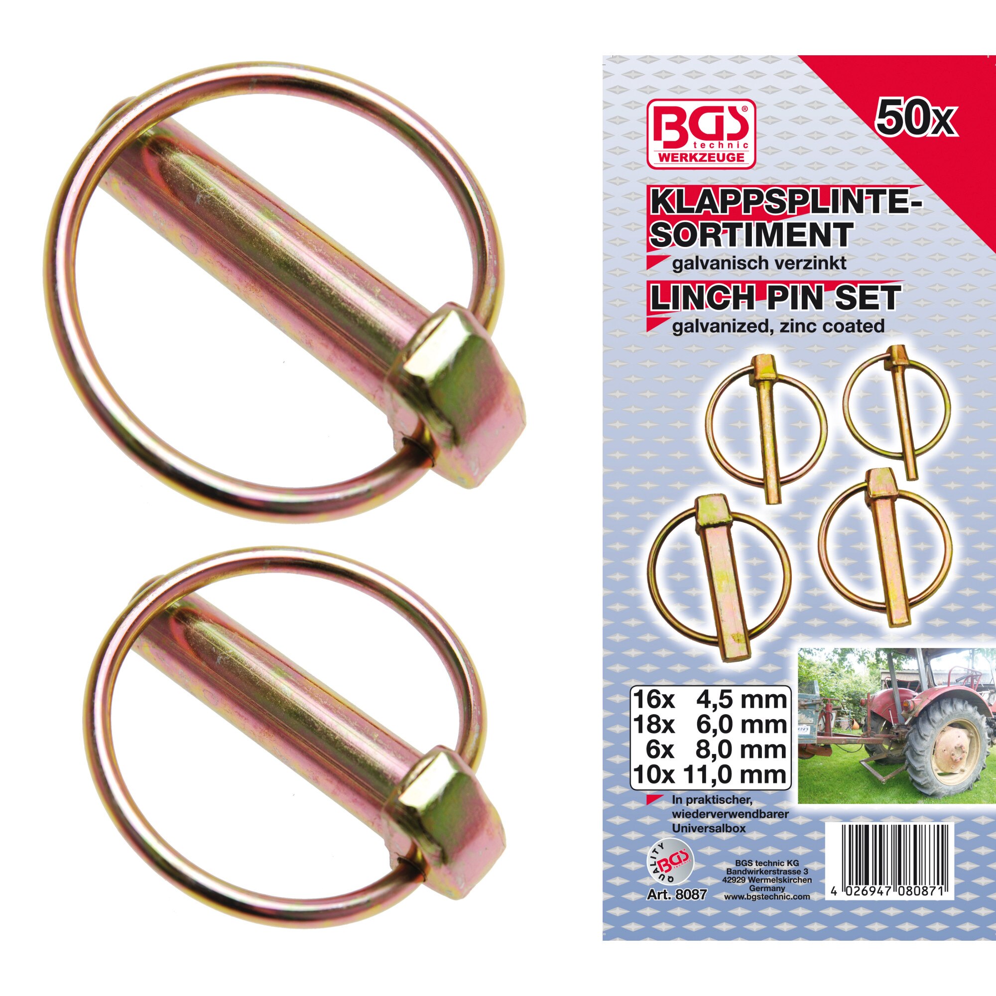 Trusa de sigurante stift cu inel, 50 piese, BGS 8087 - eMAG.ro