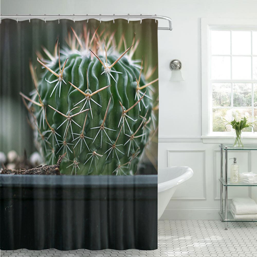 Perdea Dus Cada pentru Baie Art Factory, Cactus in glastra, 150 x 200 ...