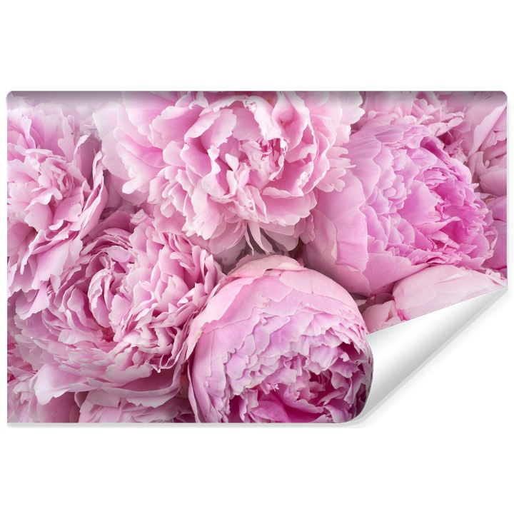 Fototapet pentru living bujori desen la moda 90cm x 60cm Flori roz ...