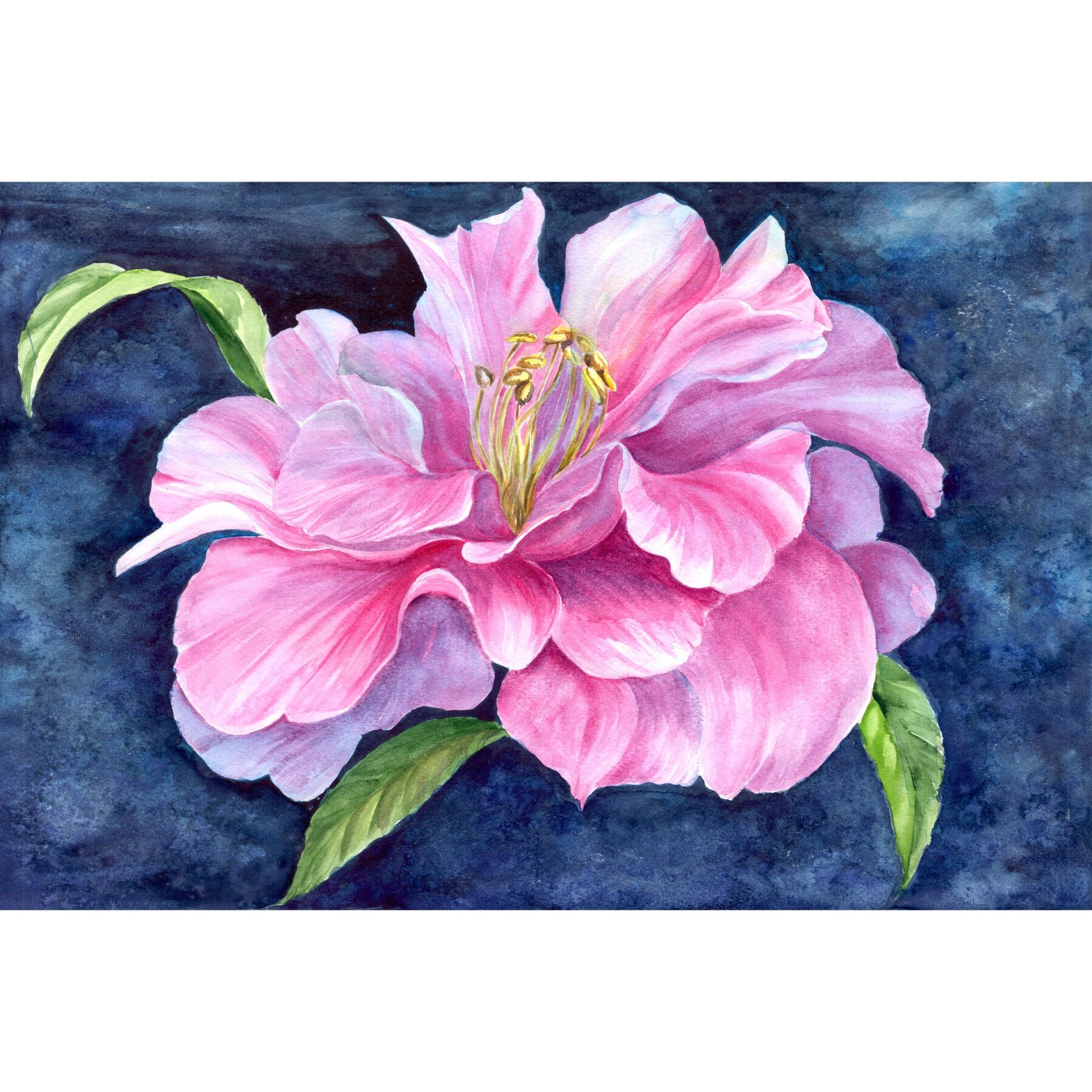 Fototapet pentru living 3D acuarela bujori 368cm x 254cm Flori roz ...