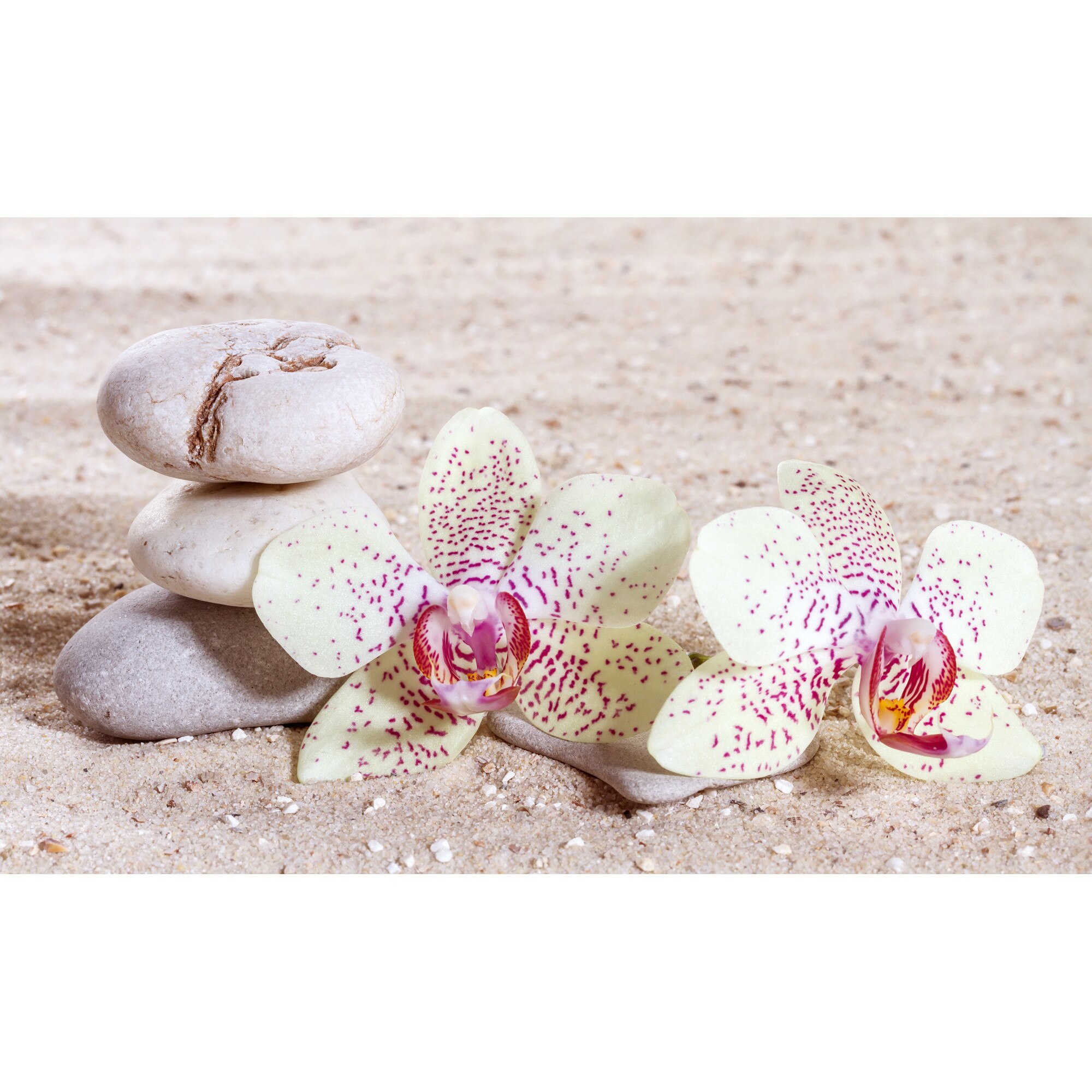 Panou decorativ, DIMEX, 100 x 60 cm, 3mm, Model gradina zen, Multicolor ...