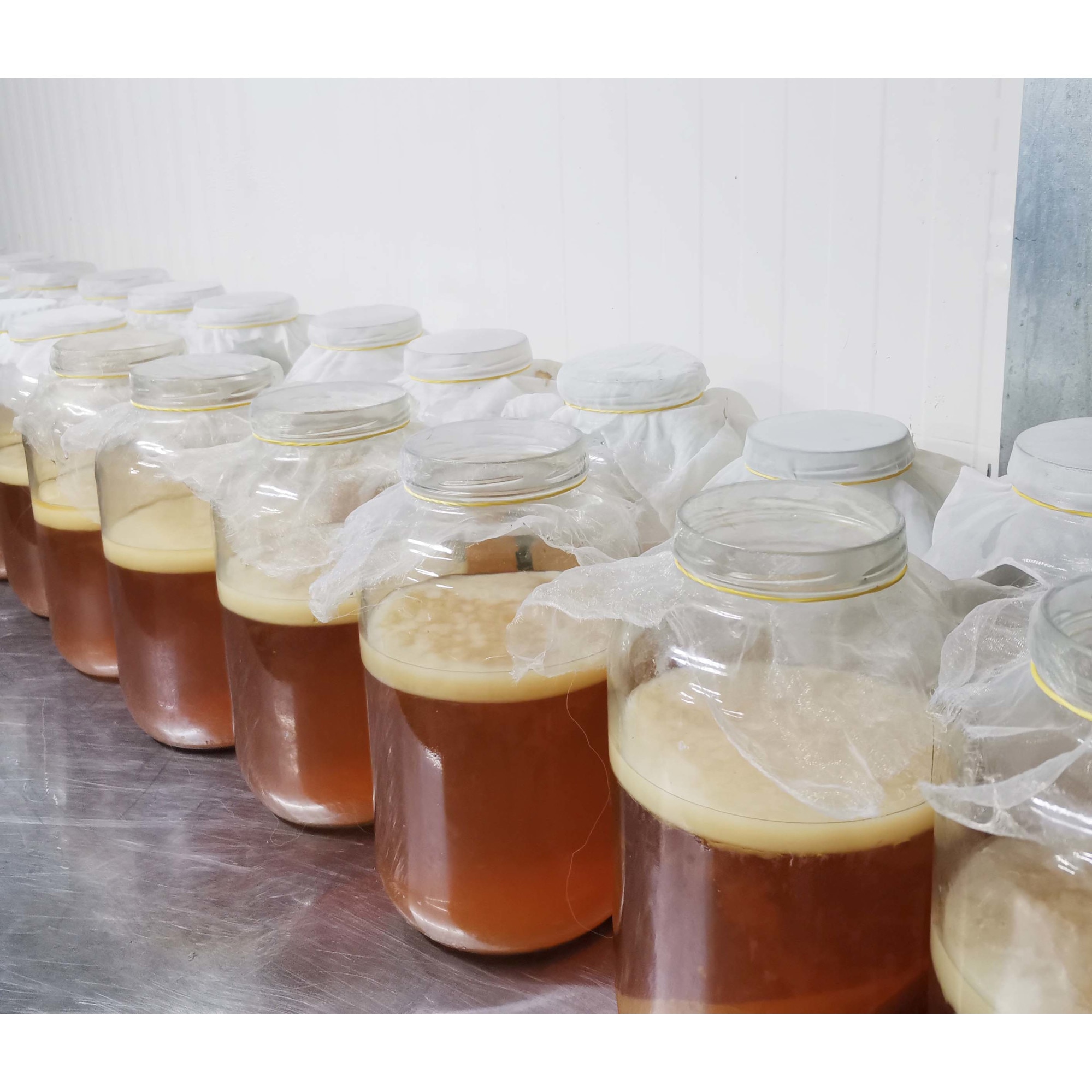 Ciuperca kombucha, iKombucha, 500 ml - eMAG.ro