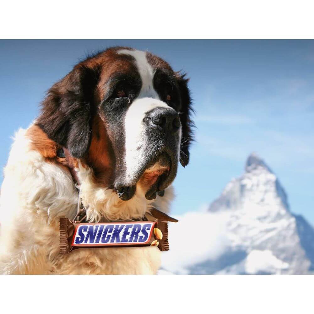 Standard Snickers rúd, 50g - eMAG.hu