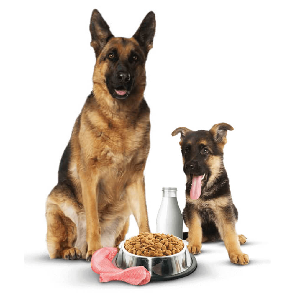 Mancare pentru Caini cu VIta Fincsi, 10 Kg - eMAG.ro