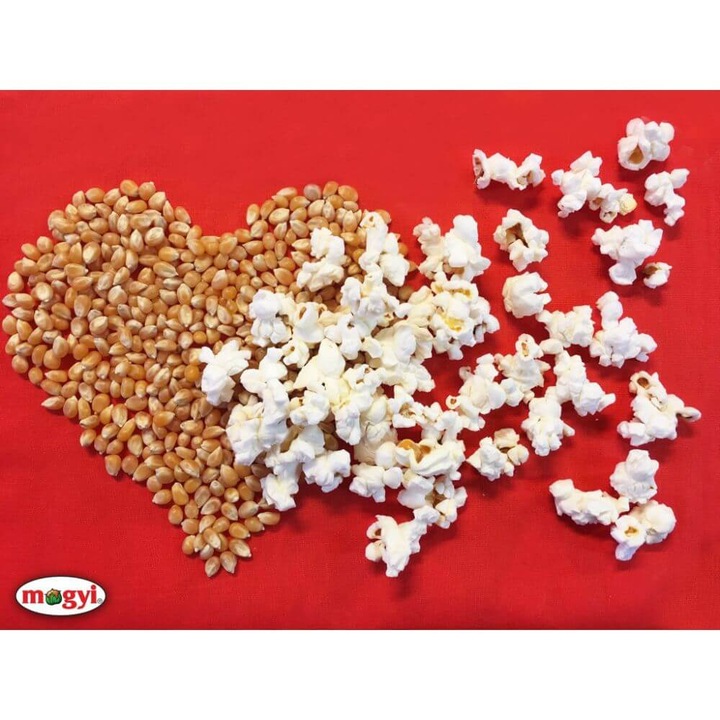 Micro Pop Mogyi, Cascaval, 100 g - eMAG.ro