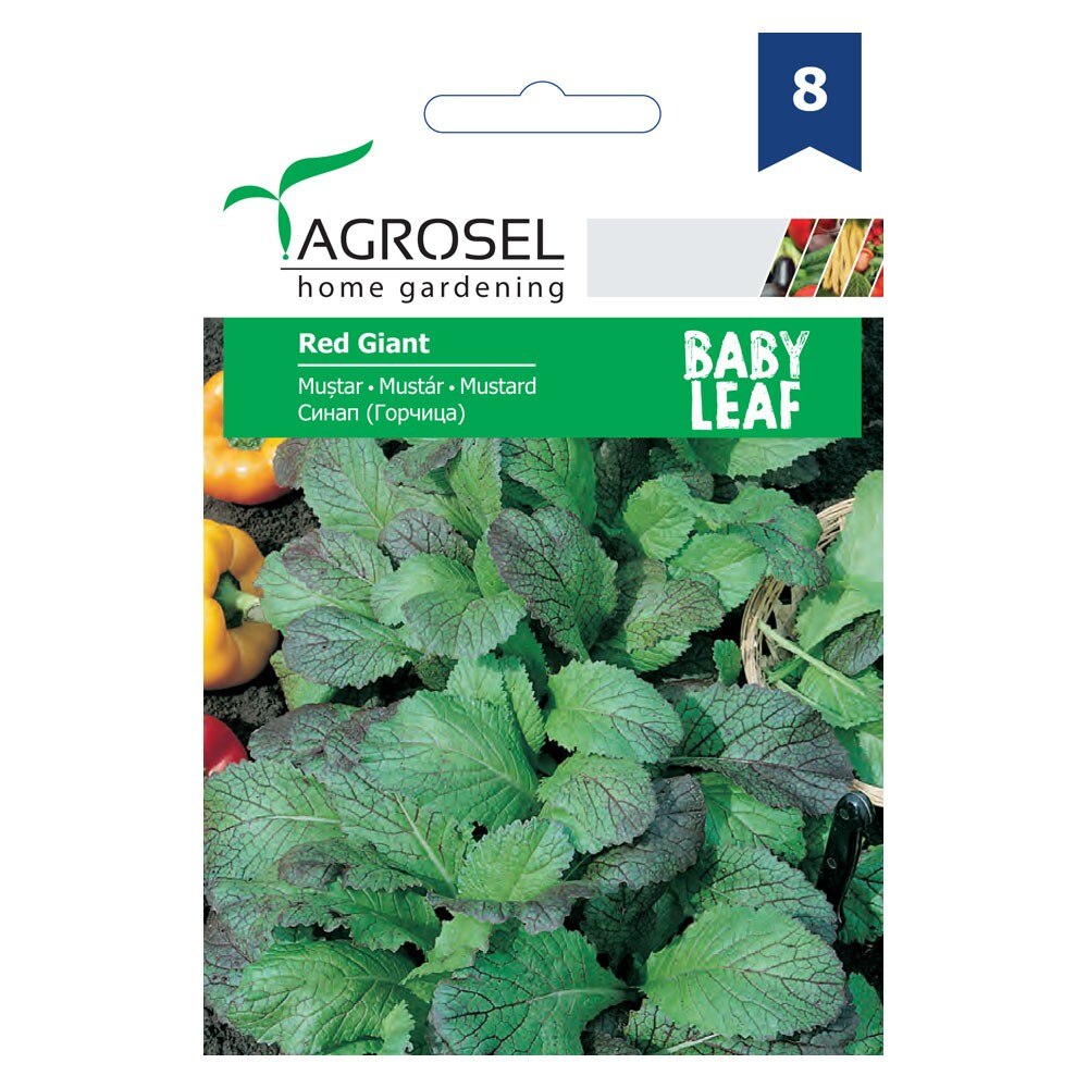 Seminte Mustar, Agrosel home gardening, 4 g - eMAG.ro