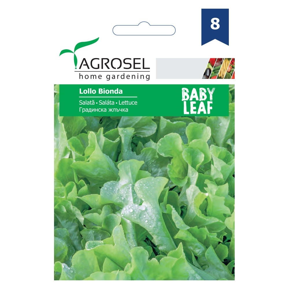 Seminte Salata Lollo Bionda, Agrosel home gardening, 5 g - eMAG.ro