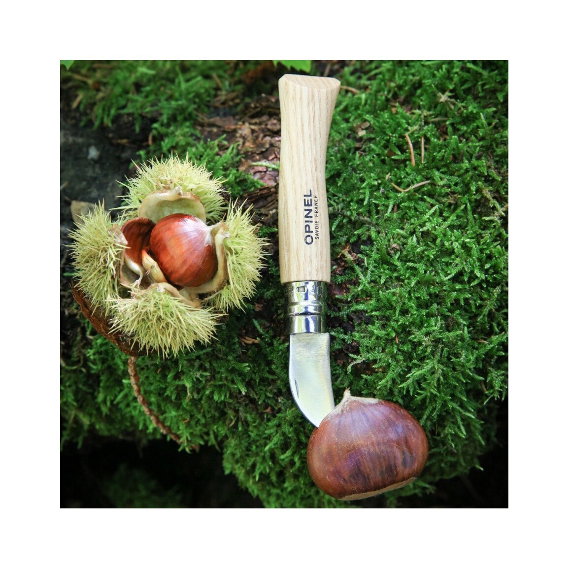 Cutit Opinel nr.7 pentru castane si usturoi 002360 - eMAG.ro