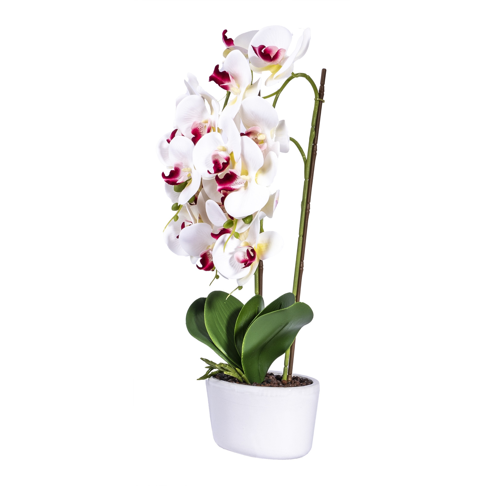 Orhidee 3 fire cu aspect natural in ghiveci oval ceramica alb, H 50 cm ...