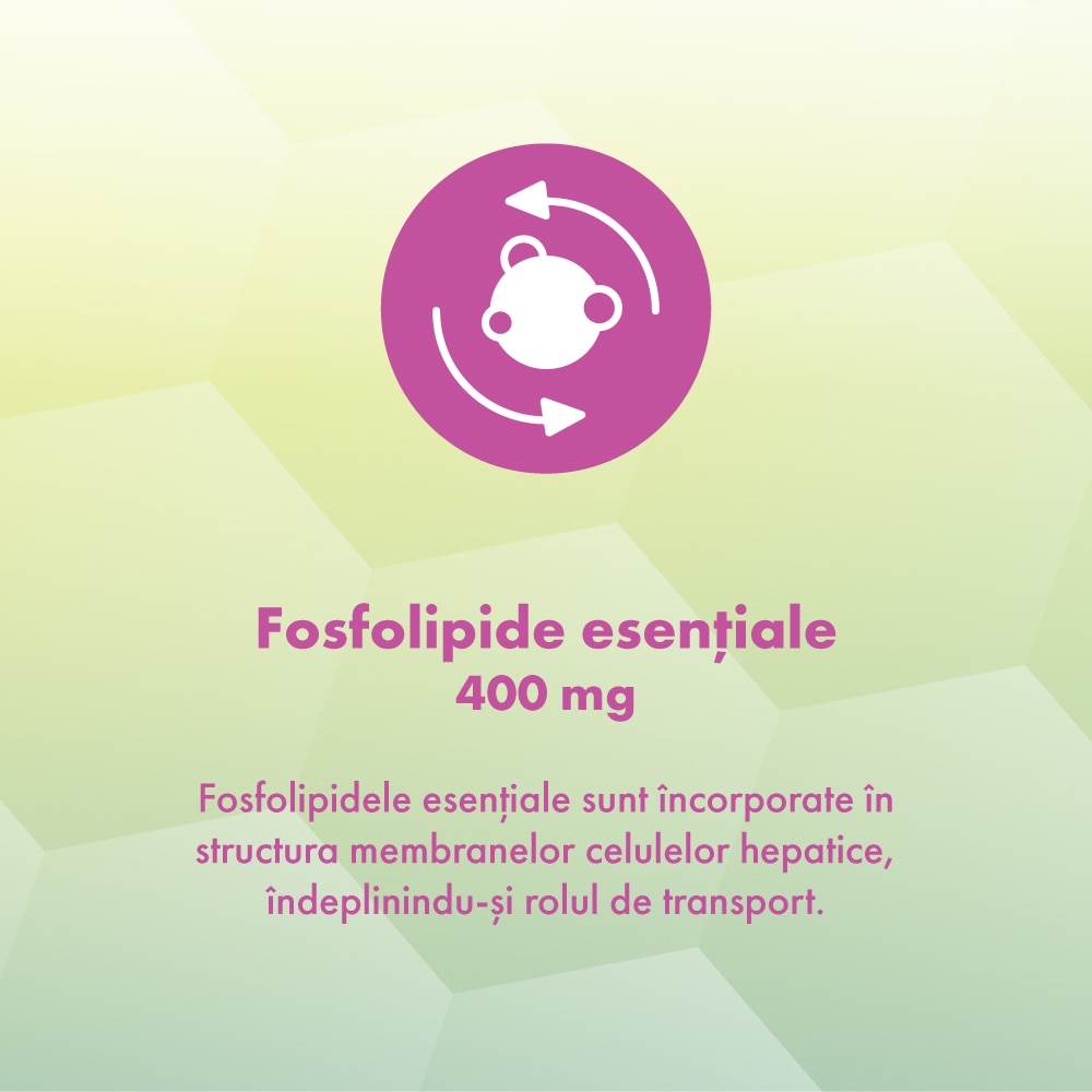 Esentin Trio, Sun Wave Pharma, Fosfolipide esențiale, silimarina pentru ...