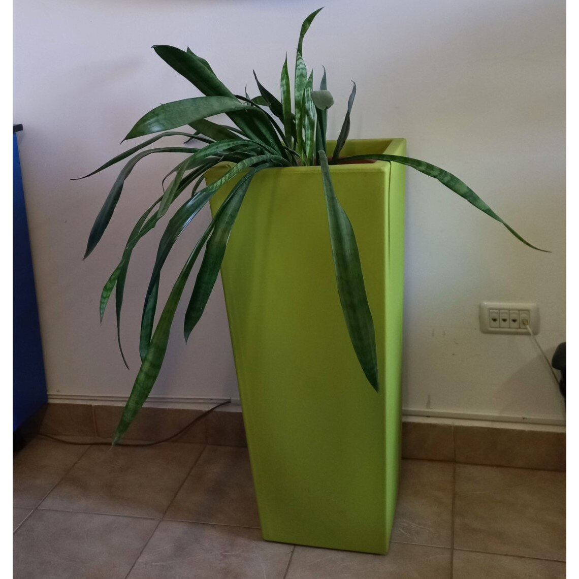 Ghiveci inalt Cecina, anason, 30 l, 38 x 85 cm - eMAG.ro