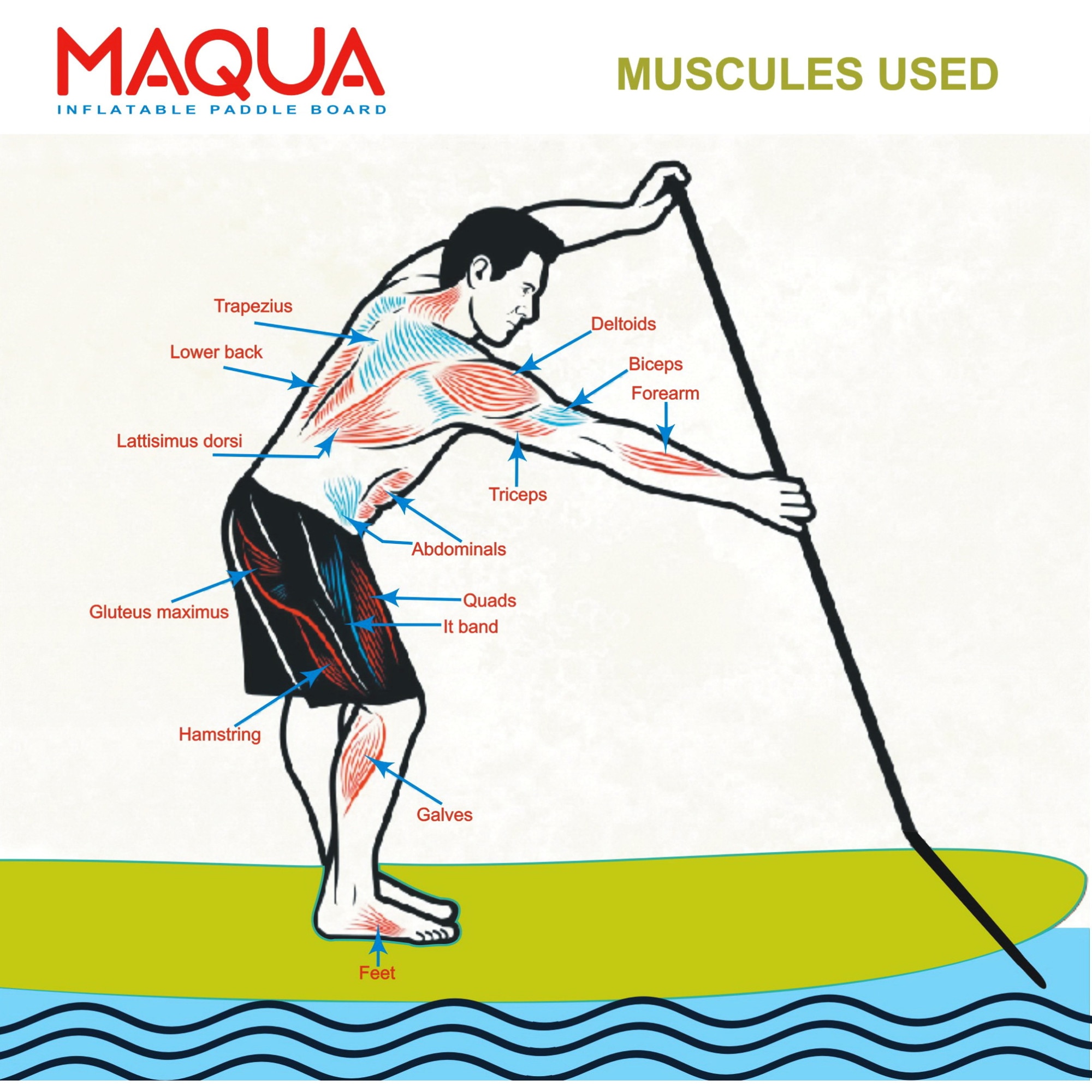 Set Placa cu vasle, AQUA MARINA, Pentru Canoe-Caiac, Gonflabila ...