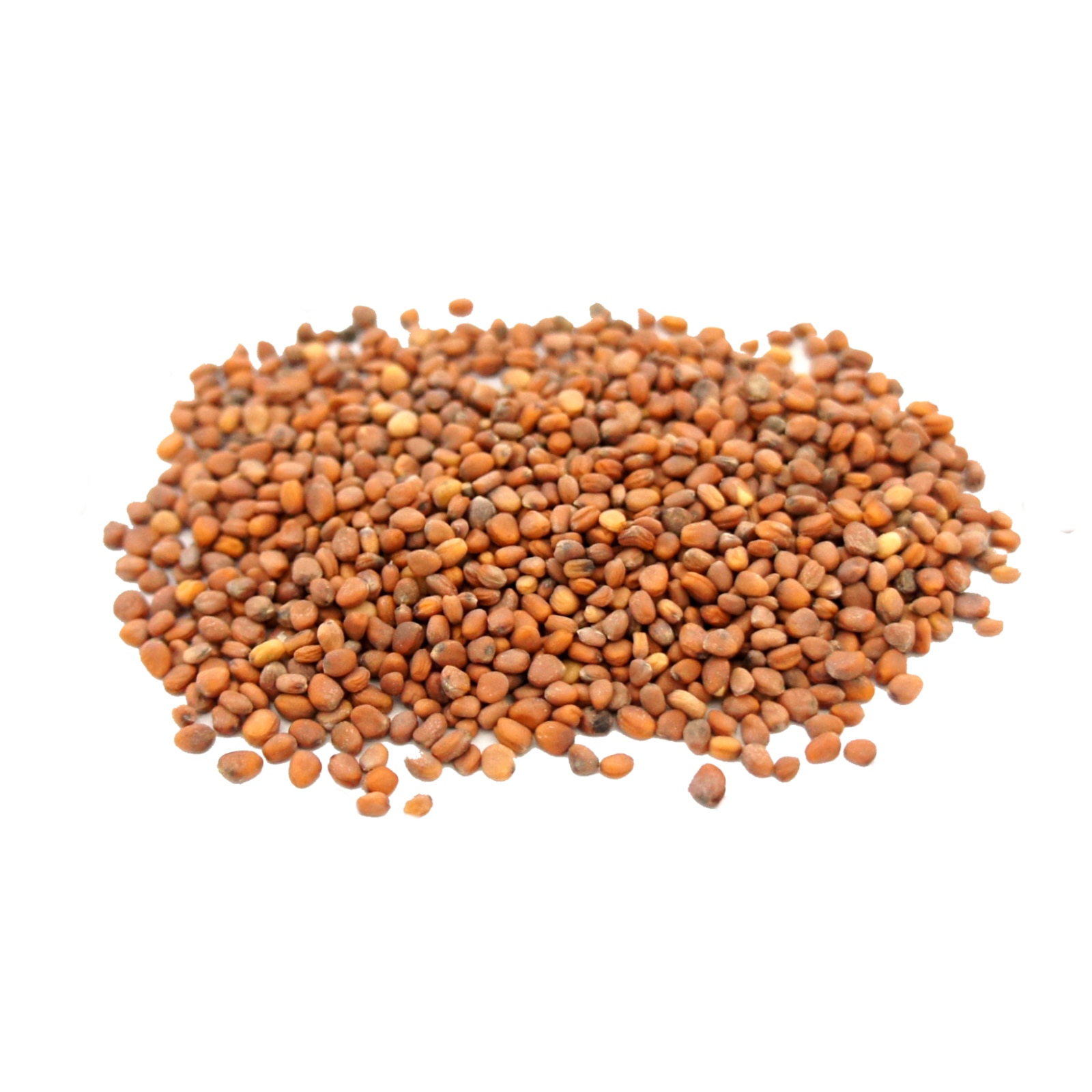 Seminte microplante de Ridiche Rose BIO, myGreens, vegan, 100 g - eMAG.ro