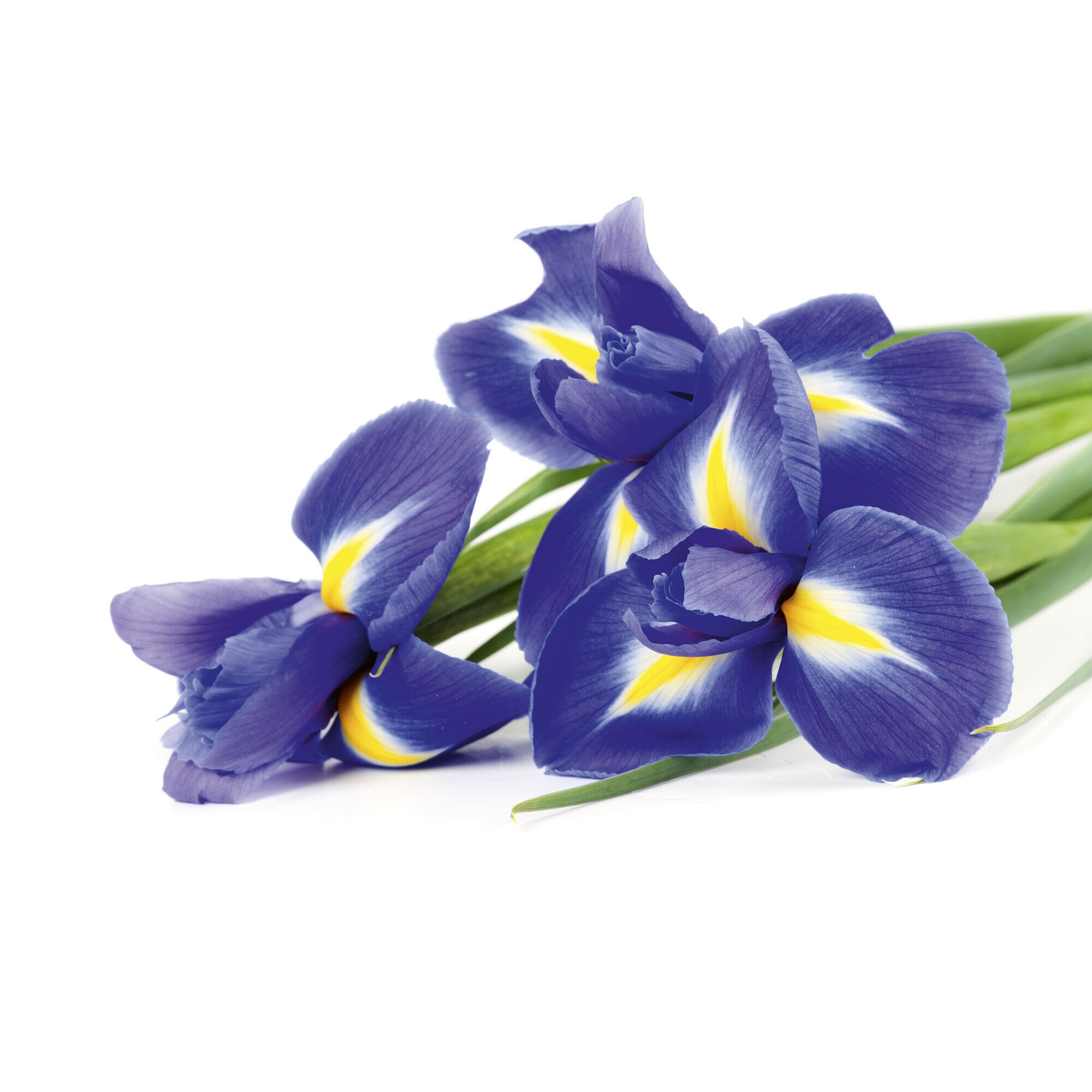 Tapet DIMEX, Model Crin, 375 x 250 cm, Netesut, Mov - eMAG.ro