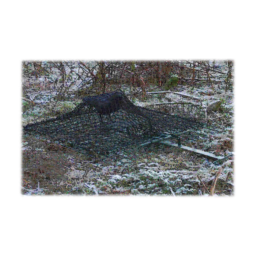 Capcana pentru pasari, ITA H&G, Platforma 70cm, Cu plasa, Verde - eMAG.ro