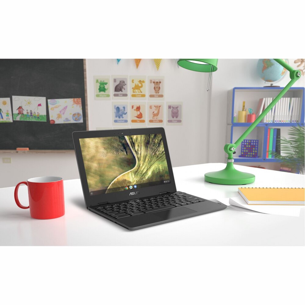 Лаптоп ASUS Chromebook C204EE-GJ0219, Intel Celeron N4000, 11.6" HD ...