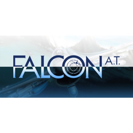 Joc Falcon A.T. cod de activare Steam - eMAG.ro