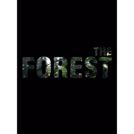 Joc The Forest cod de activare Steam - eMAG.ro