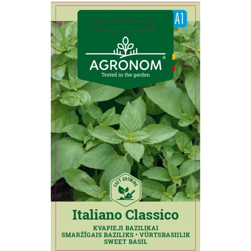 Seminte, Busuioc Italiano Classico, Plante Aromatice, Agronom, plic, 1 ...