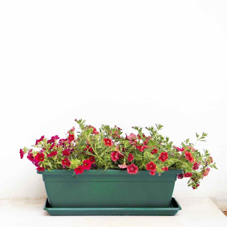 Jardiniera Venezia XL, lungime 100 cm, culoarea Verde inchis - eMAG.ro