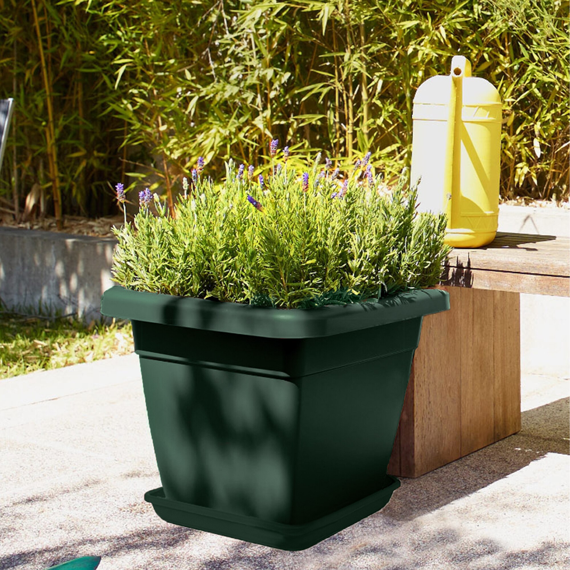 Farfurie pentru ghiveci patrat Venezia de 30 cm, culoarea Verde inchis ...