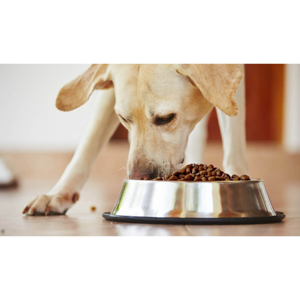 Mancare pentru Caini cu VIta Fincsi, 10 Kg - eMAG.ro