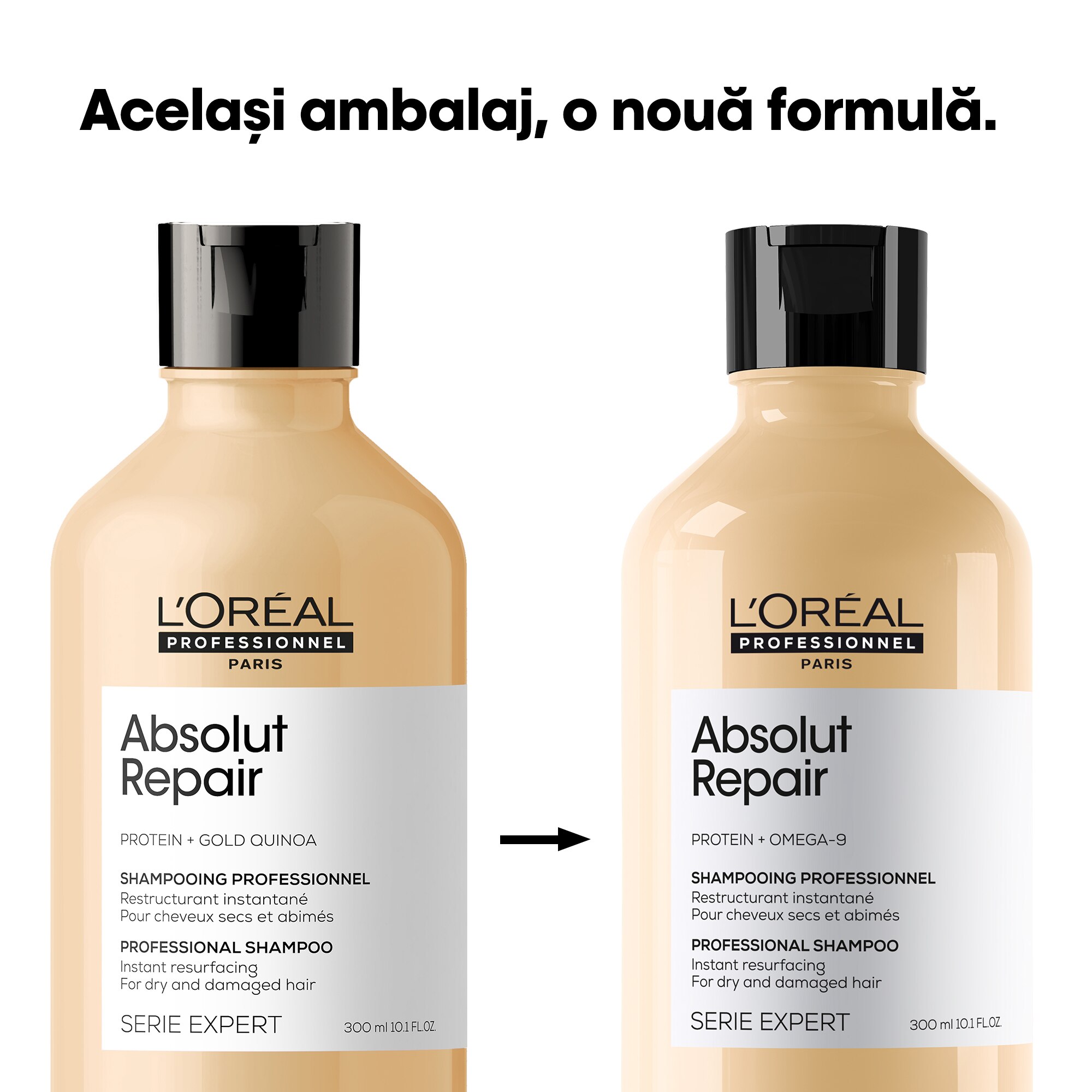 Sampon pentru par uscat L’Oreal Professionnel Serie Expert Absolut ...